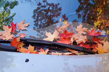 Fall Road Trip, Driving to The Best Fall Activities in the Country